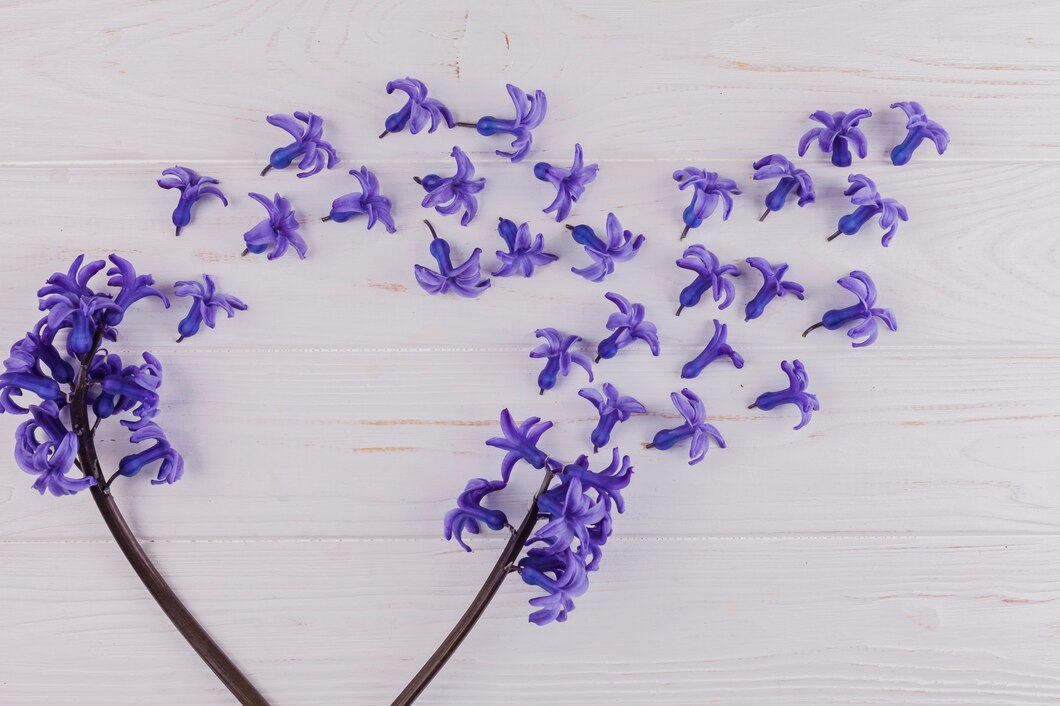 Lavanda: Cultivo, Tipos e Cuidados Essenciais!! - My Blog